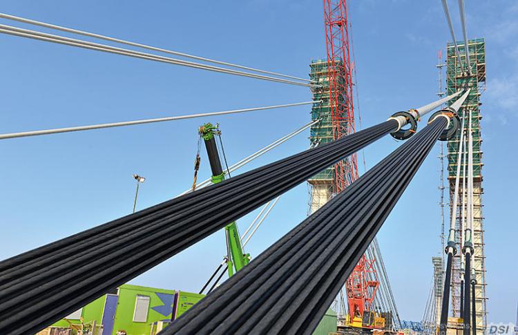 DSI announces Joint Venture with BRIDGECON INDIA | arcien